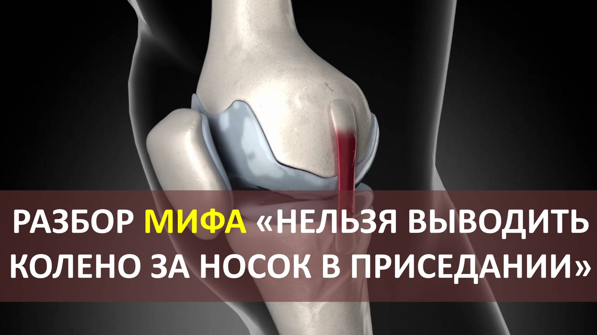 Разбор мифа: нельзя выводить колено за носок в приседании