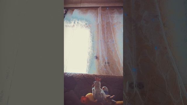 12 серия. Побег домой