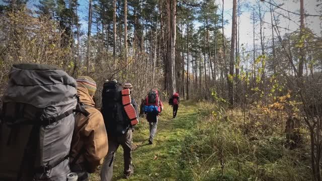 Пеший поход выходного дня - Лопатинские карьеры