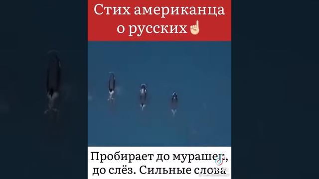 Стих американца о русских.