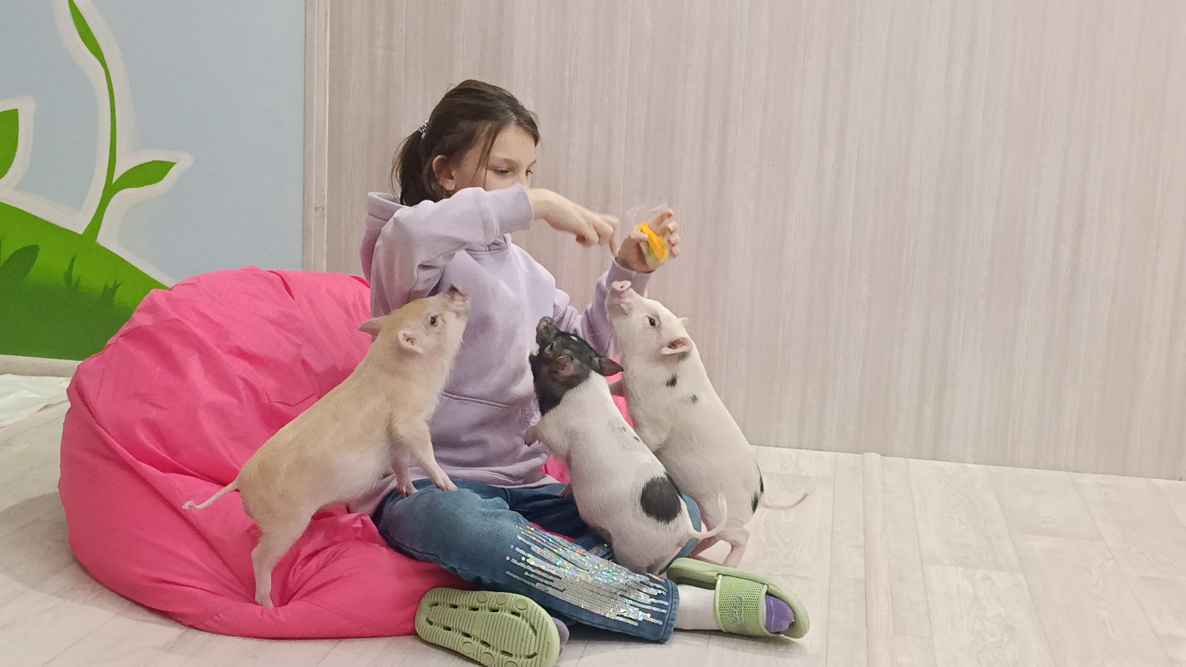 Питер. День третий. Детский день. Желейное кафе и три поросёнка за бешеные деньги.