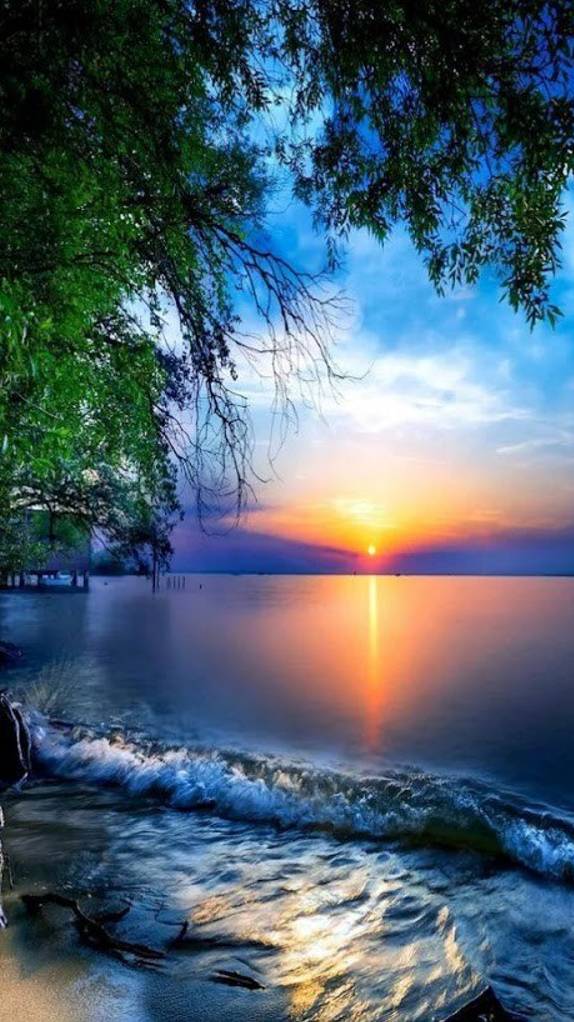 Краснодар японский сад