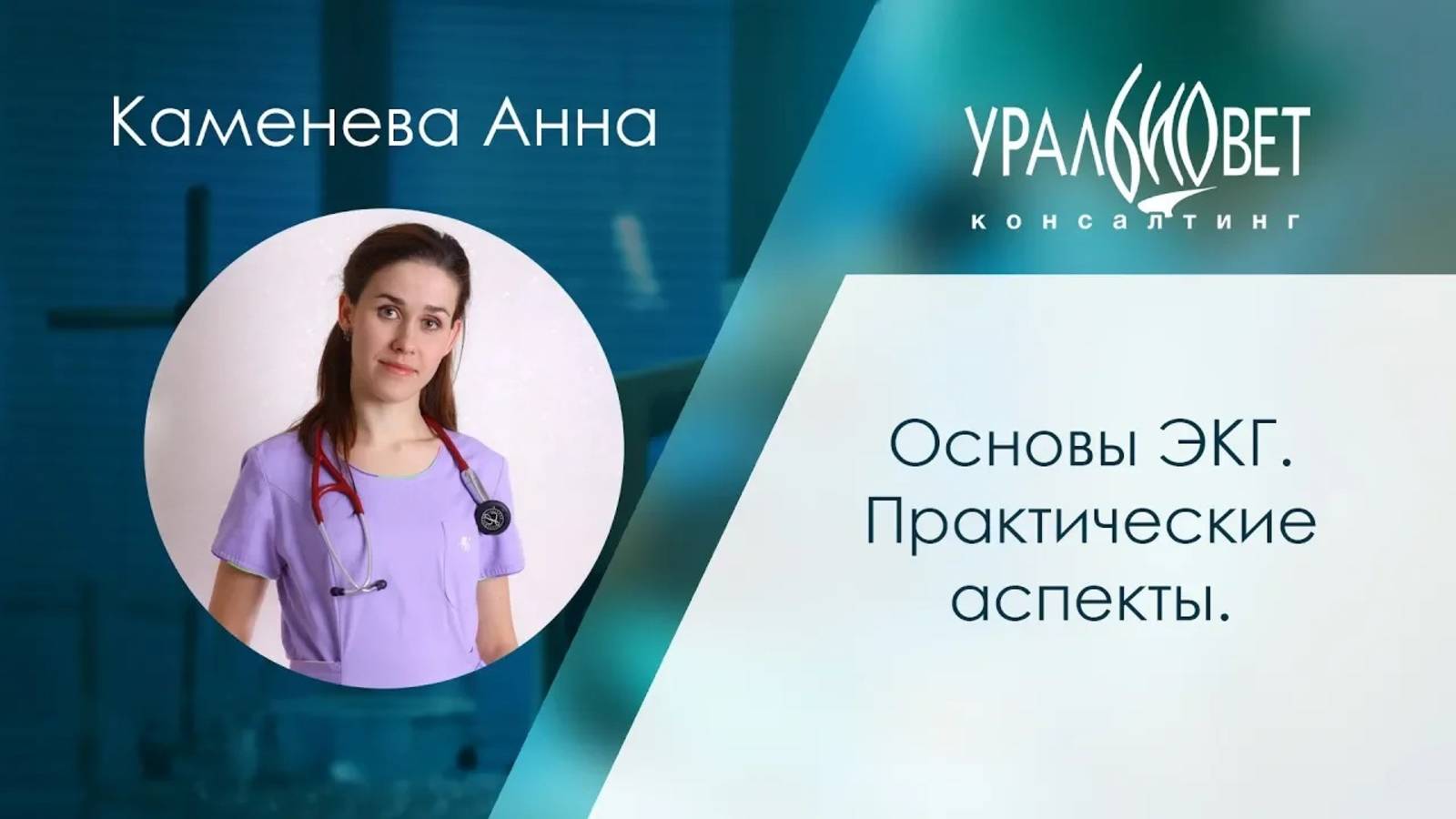 Основы ЭКГ. Практические аспекты. Каменева Анна #убвк_кардиология #убвк_инструментальная_диагностика