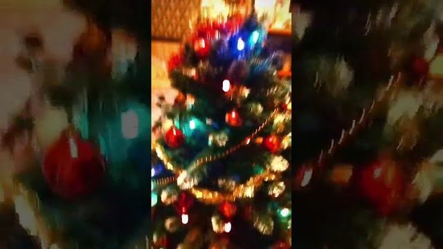 Наша ёлочка, встречаем 2025 год