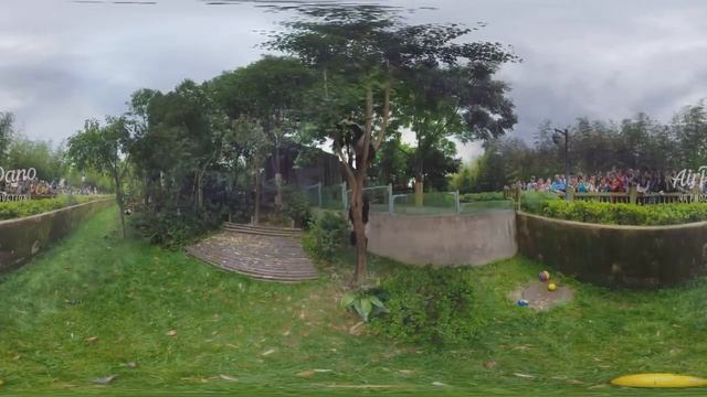 360°, Chengdu Panda Base, China, 8K aerial video