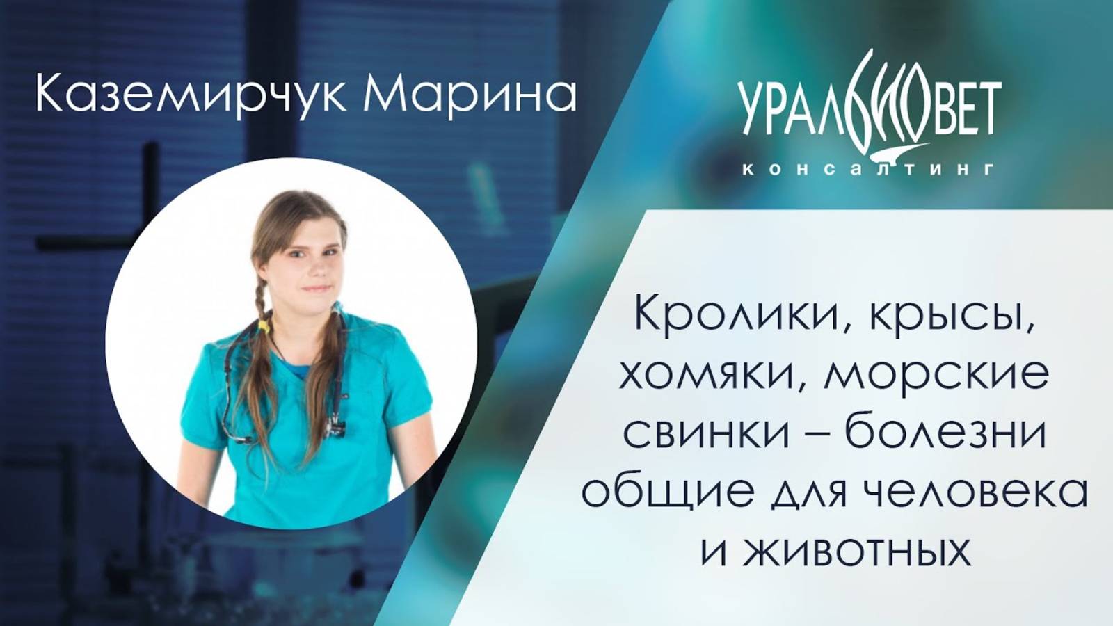 Кролики, крысы, хомяки, морские свинки – болезни общие для человека и животных. Марина Каземирчук