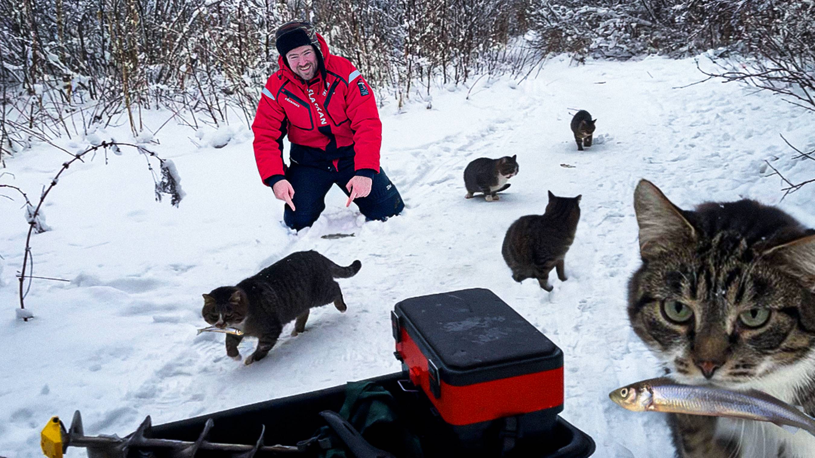 ОНИ ОБОКРАЛИ МЕНЯ ПОСЛЕ РЫБАЛКИ | РЫБАЛКА НА КОРЮШКУ | ОТКРЫТИЕ СЕЗОНА 2025.