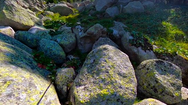 Валуны Relax - VR 360° 5K Video - Белый шум из дикого леса