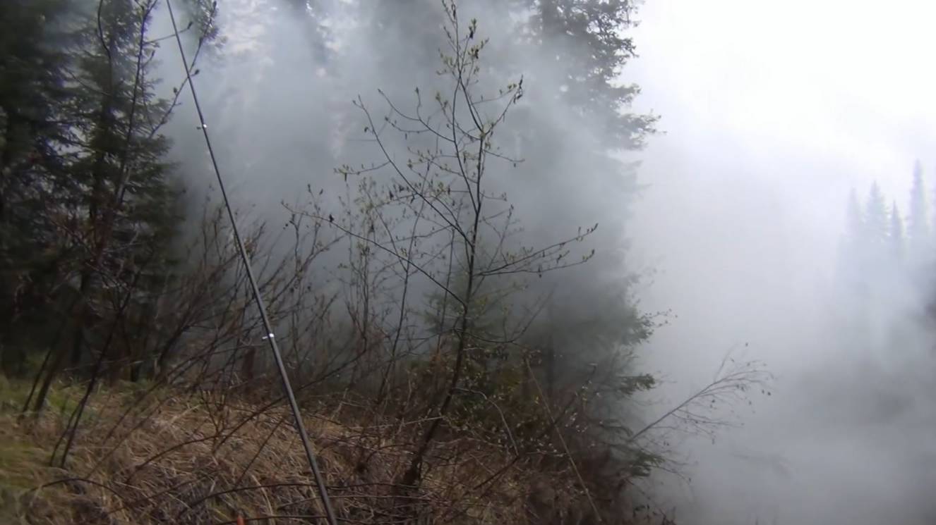 22 Там где живет медведь девственная тайга  рыбалка охота тайга лес природа в поход поход выживание