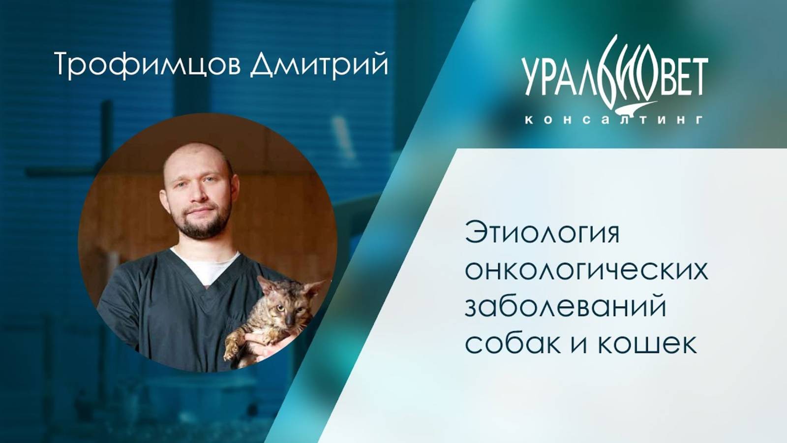Этиология онкологических заболеваний собак и кошек. Лектор Дмитрий Трофимцов #убвк_онкология