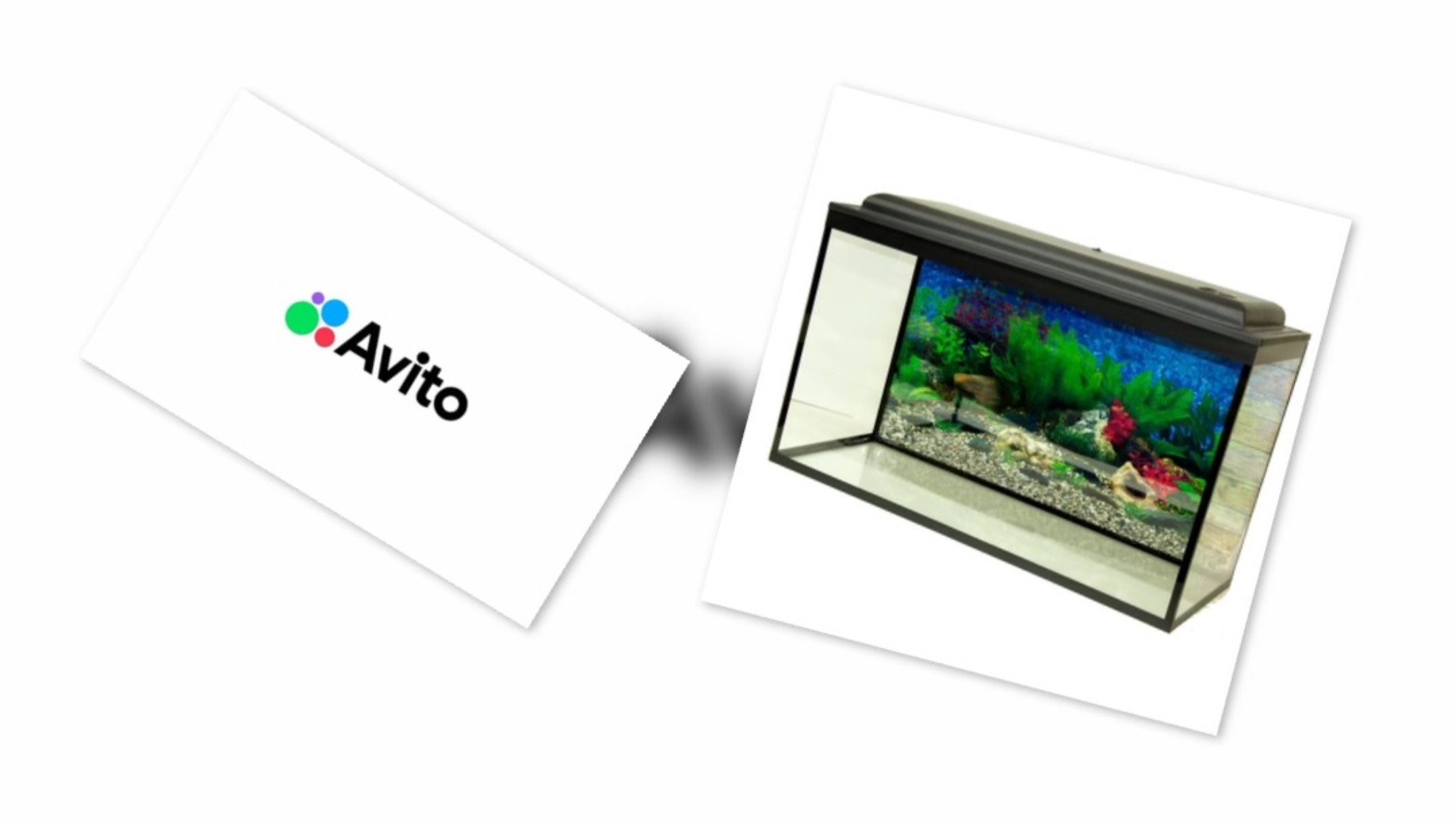 решила прикупить аквариум в Авито моя история