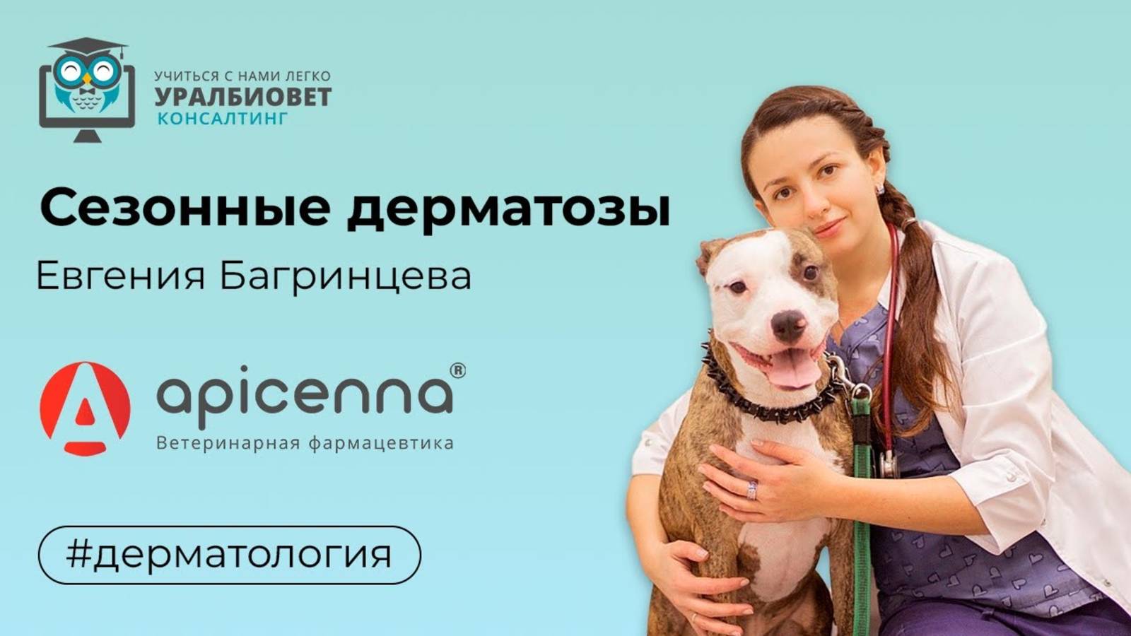 Сезонные дерматозы кошек и собак , лектор Евгения Багринцева