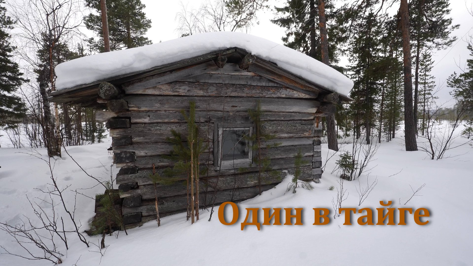 Заночевал в избе. Хариус на таёжной речке.