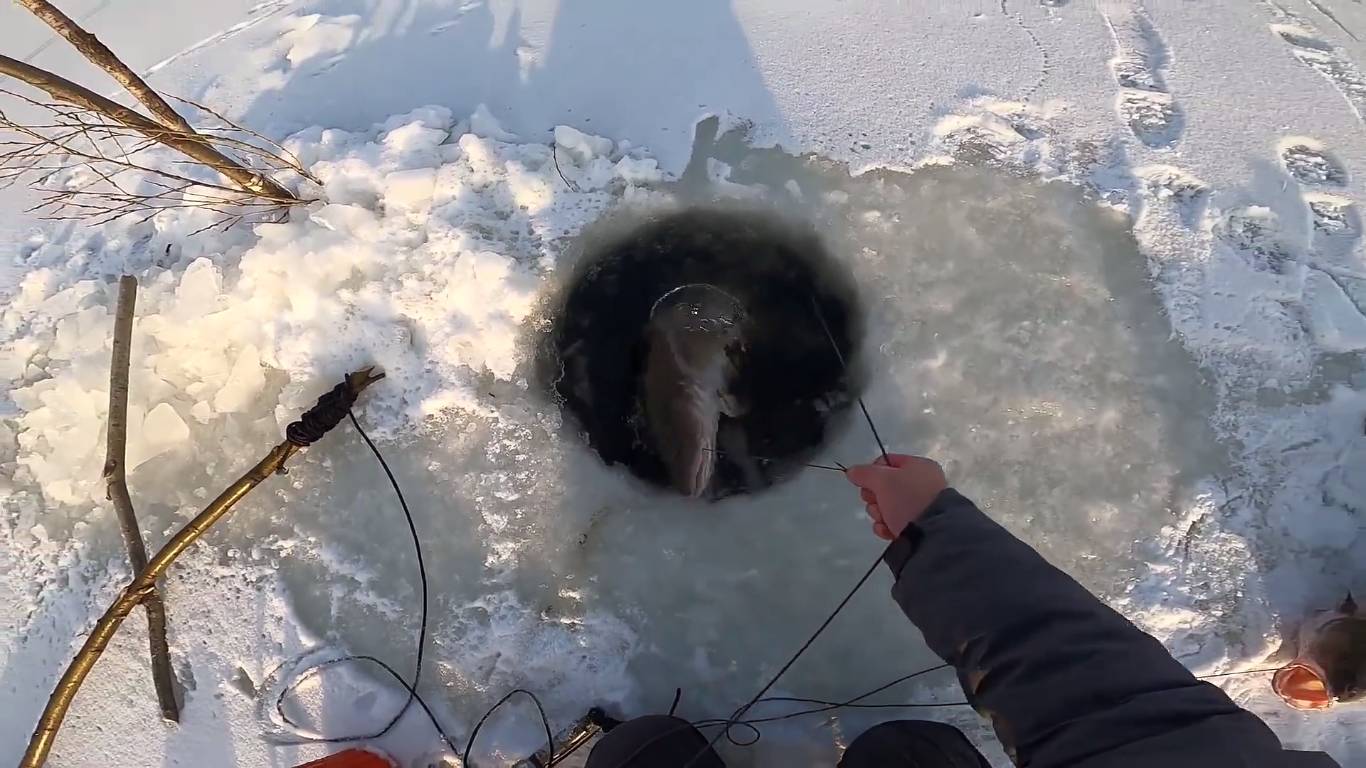 (1). Рыбалка.Чёрная дыра 2021-2022. 01.11.2021