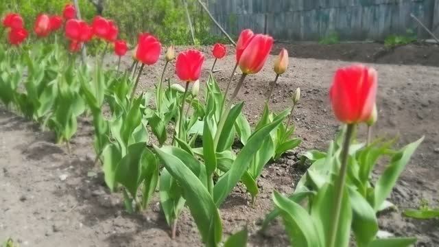 Весна идёт!...🌷🌷🌷