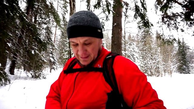 Блог. БУДНИ. Елка через месяц. Марийское свидание,  воспоминания, (архив 2023 года)