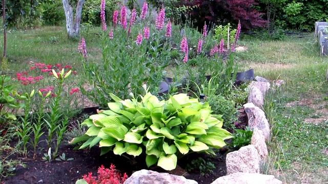 Водоемчик  в саду