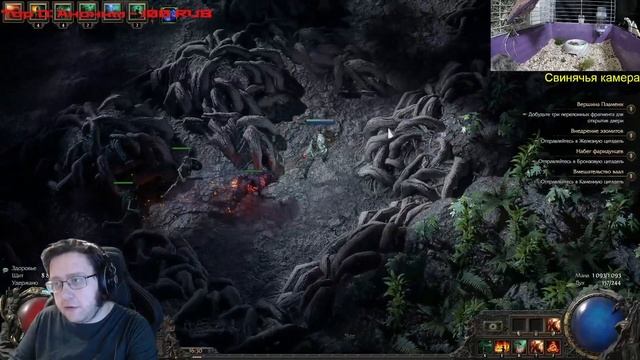 Убили хозяина в туманах вслепую, центр ничего, пое2