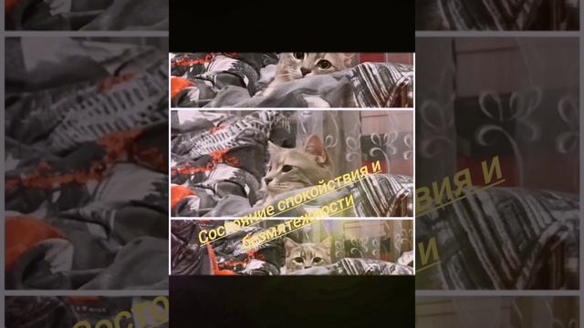 #позитивчик