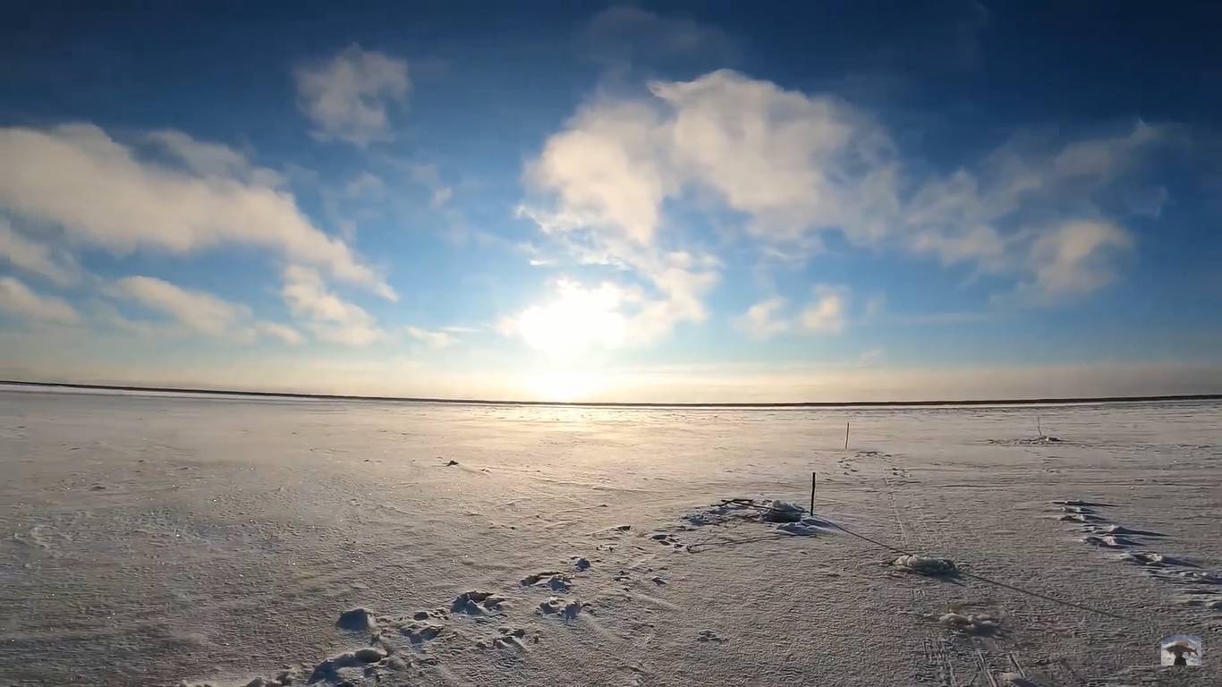 Рыбалка. Пошла жара на поставухи. 31.10.2021