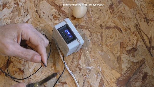 Датчик на яйцо с точной настройкой /  Инкубаторы от Игоря