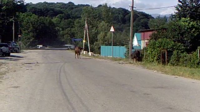 село Псемён,  Северный Кавказ