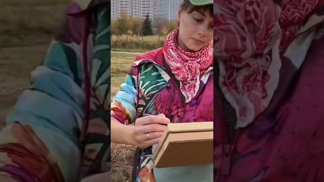 Быстрый этюд. Пейзаж маслом