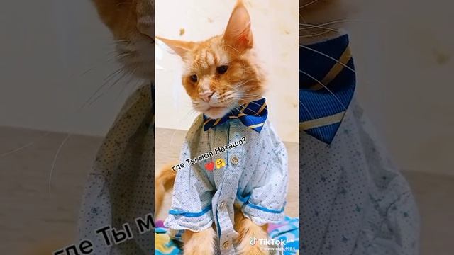 наташамем 😻