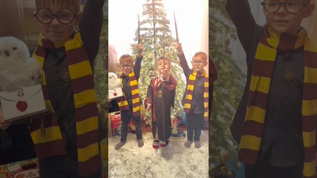 Люмос максима! Гарри Поттер Новый год 2025