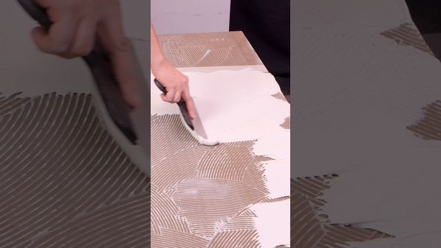 Чем белый плиточный клей отличается от серого?