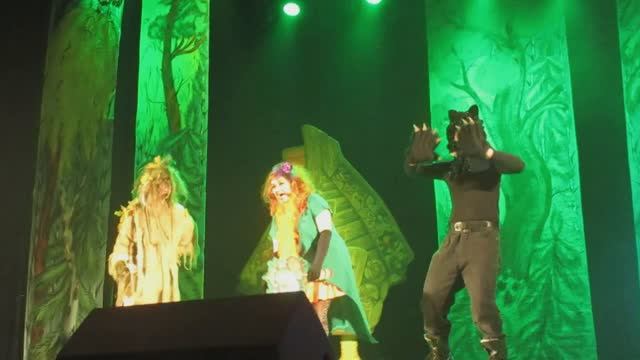 Новогодние приключения Маши и Вити