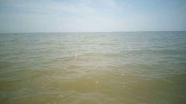 Новости охоты и рыбалки от 9 января 2025 года