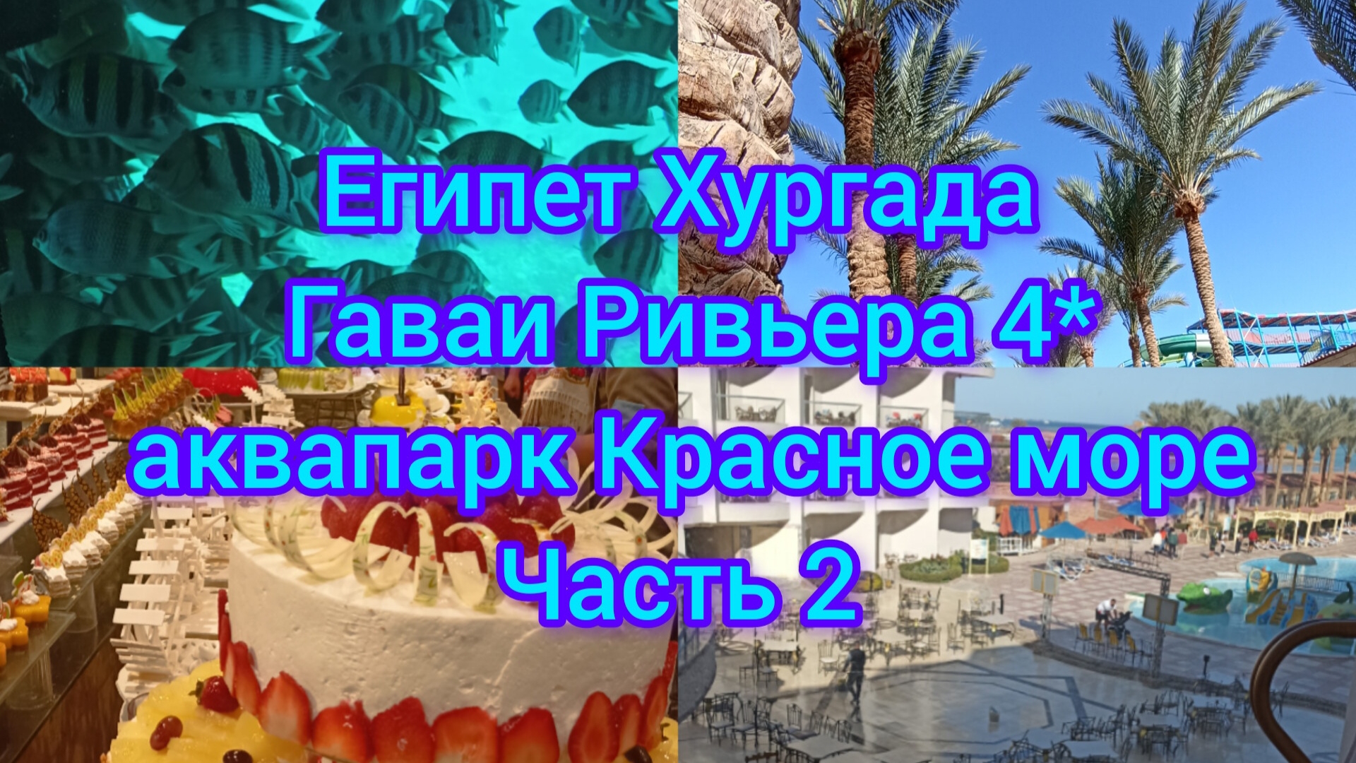 Египет Хургада Гаваи Ривьера аквапарк Красное море в декабре 2024 часть 2