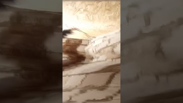 15 февраля 2024 г.