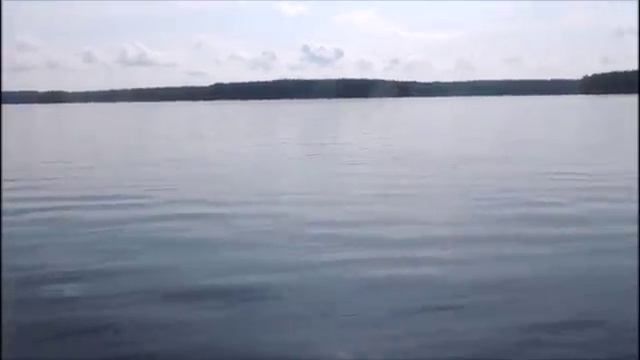 Летняя Рыбалка на Рефтинском на сорожку . 04 09 2019