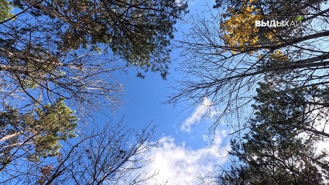 Настройка перед важной встречей или переговорами