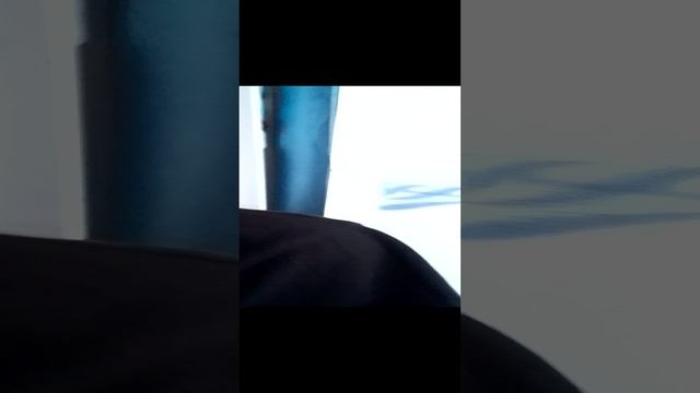 милый котик 6 серия 1 сезона