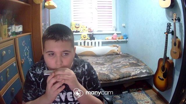 Группа крови на гармошке (В. Цой)/кавер