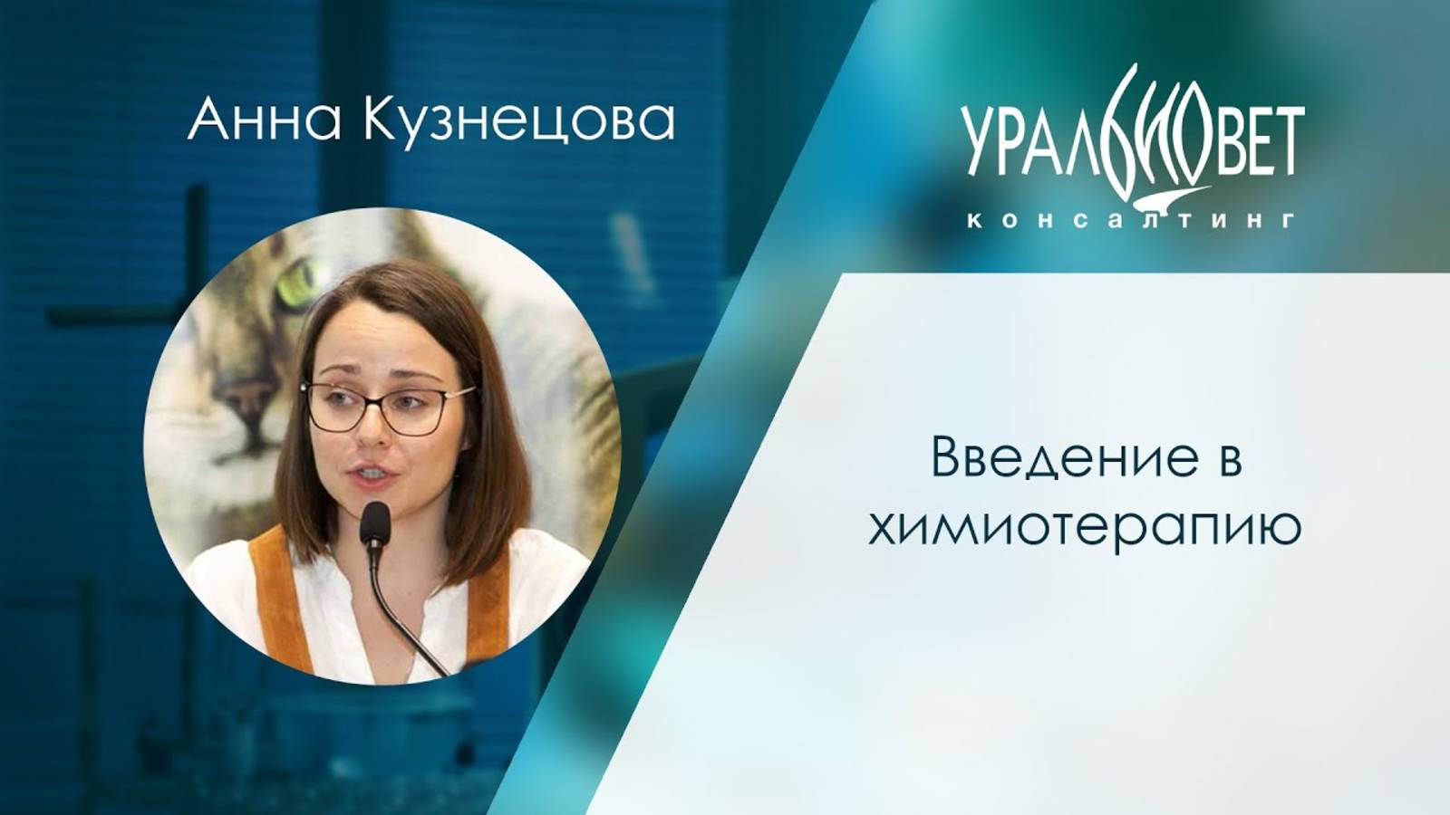 Вебинар "Введение в химиотерапию". Лектор Анна Кузнецова #убвк_онкология