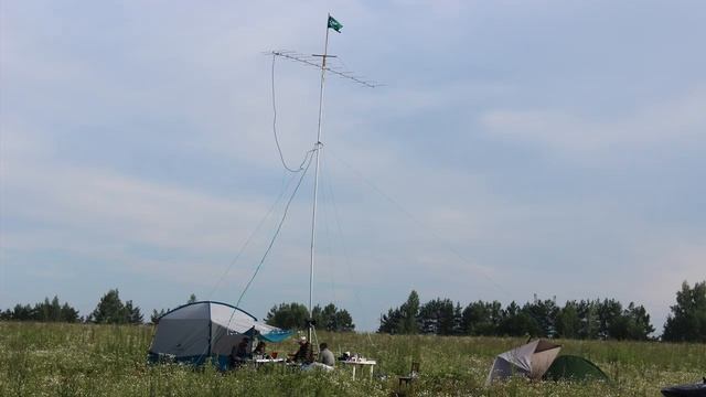 Полевой день — Языковский лес 22.07.2023