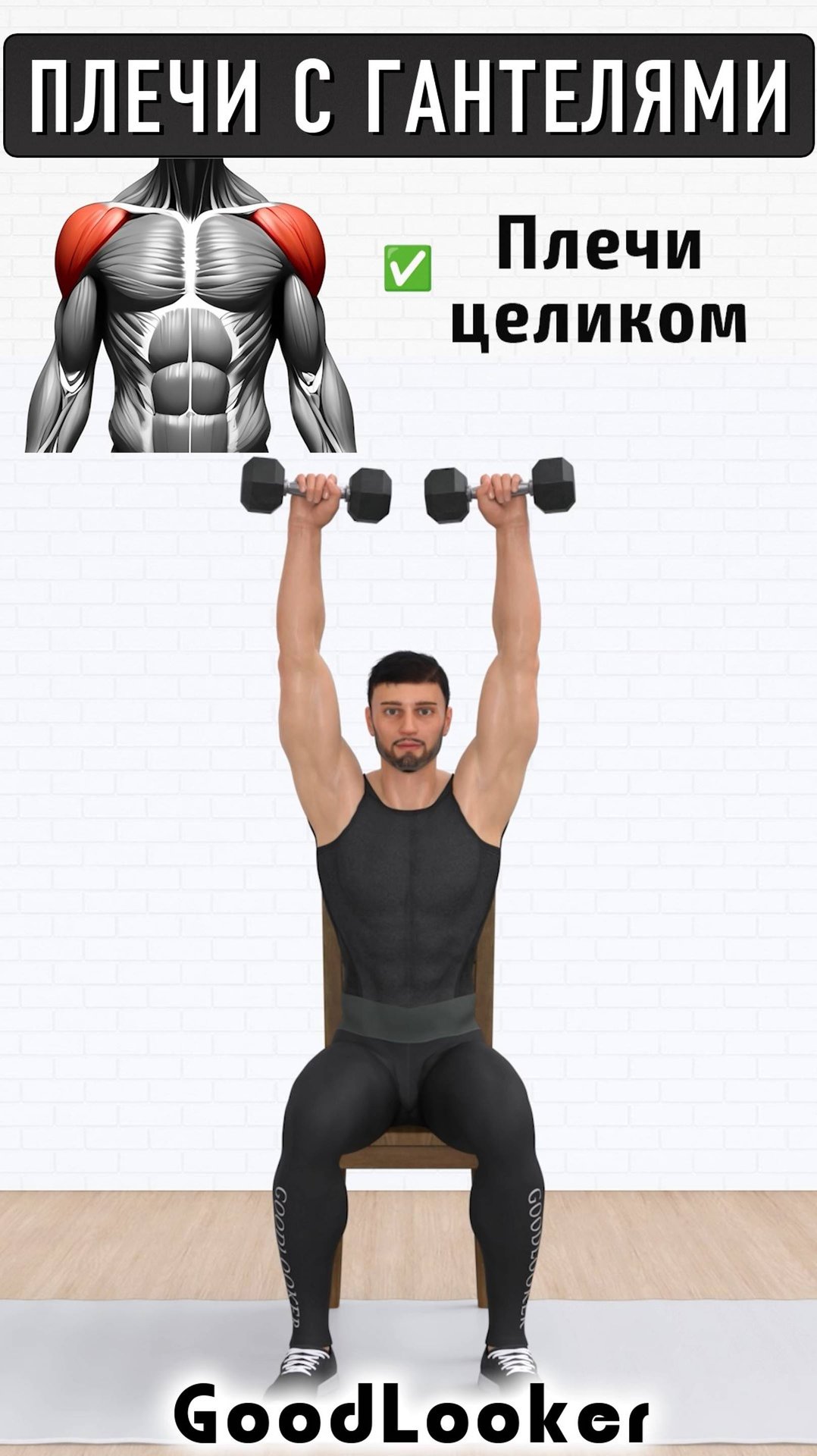 4 силовых упражнения для плеч с гантелями (качаем дельты сидя на стуле)