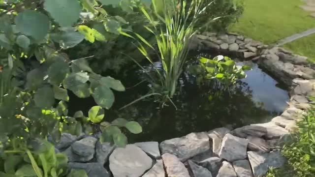 Пруд своими руками.mp4