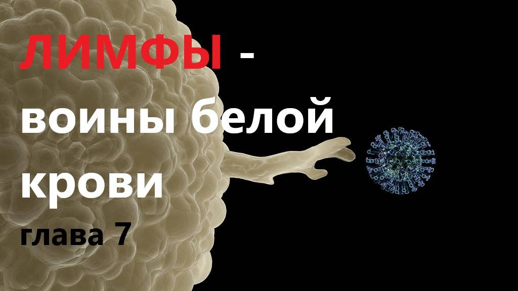 Лимфы. Воины белой крови.  Глава 7. Побег.