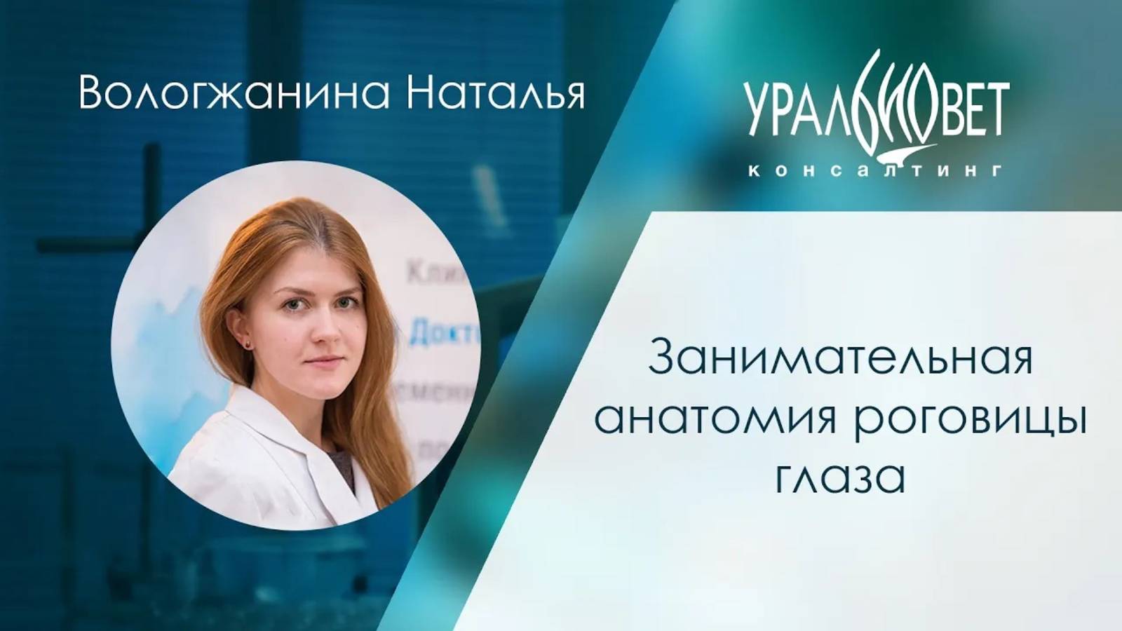 Занимательная анатомия роговицы глаза. Лектор Вологжанина Наталья #убвк_офтальмология