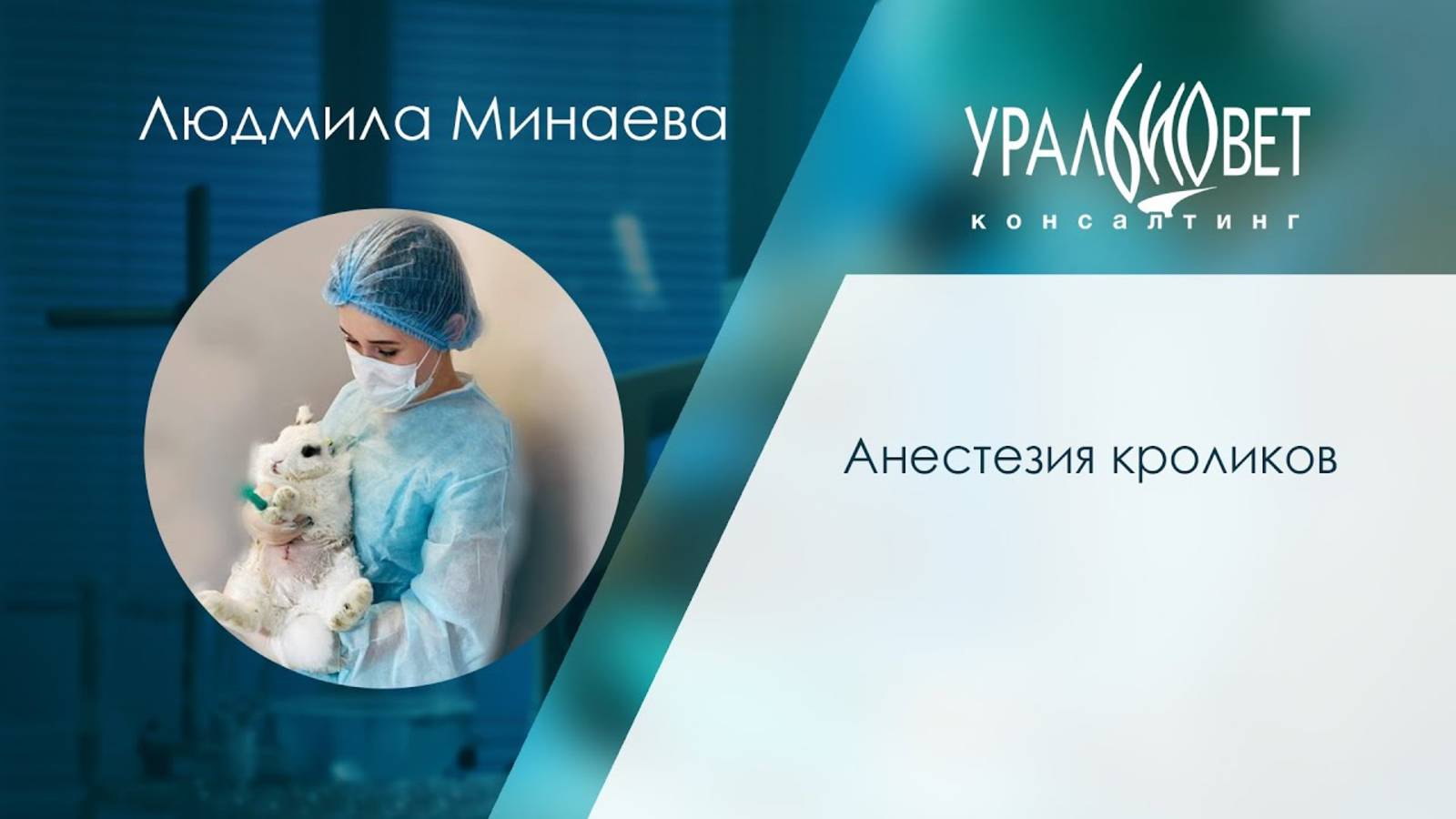 Анестезия кроликов. Лектор Людмила Ефимова (Минаева). #убвк_экзотические_животные