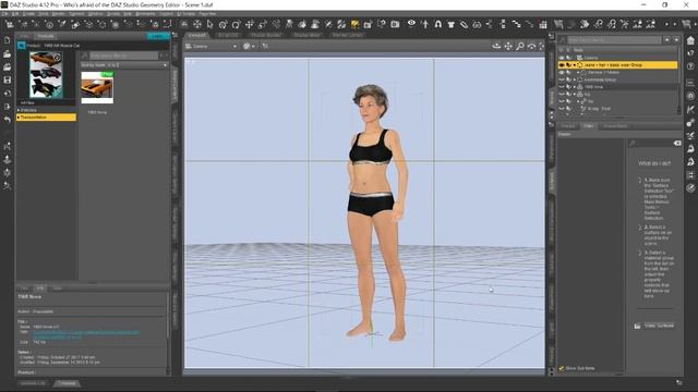 Daz 3D: Geometry Editor - Introductory Session