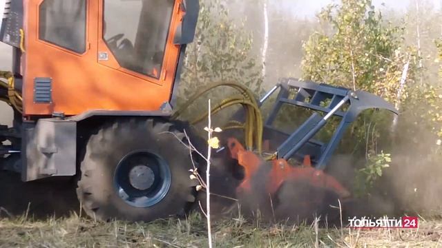 "Подробнее" Лес 18.09.2024