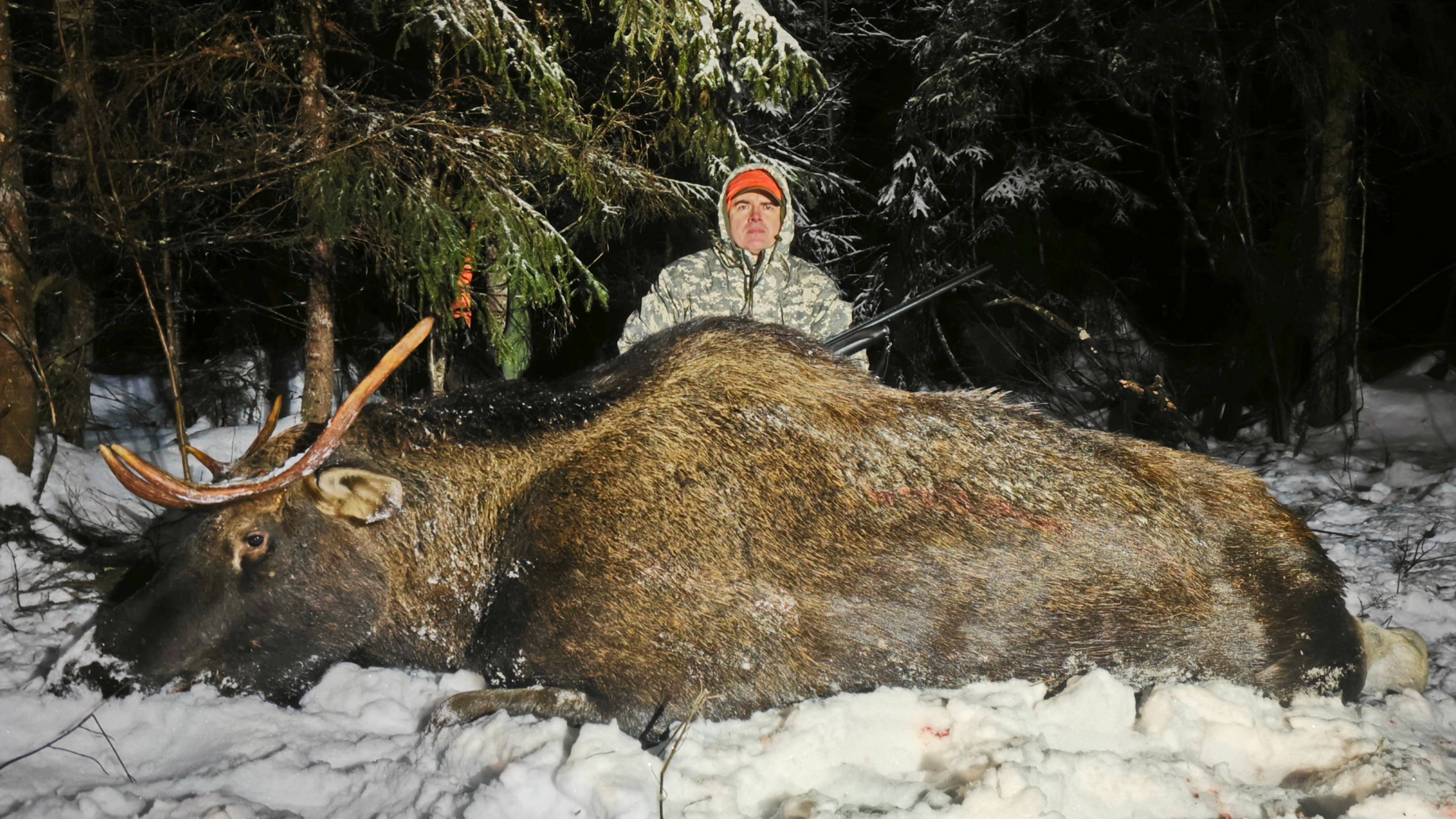 Охота НА ЛОСЯ💥 ЗАКРЫТИЕ сезона 2024