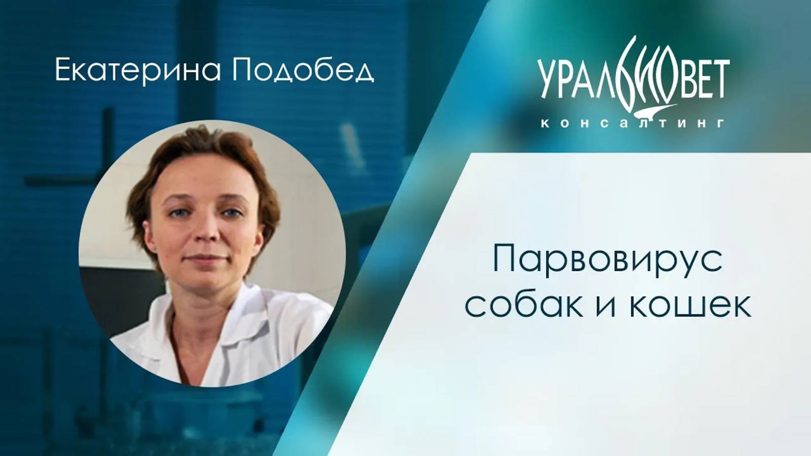 Парвовирус собак и кошек. Подобед Екатерина #убвк_терапия