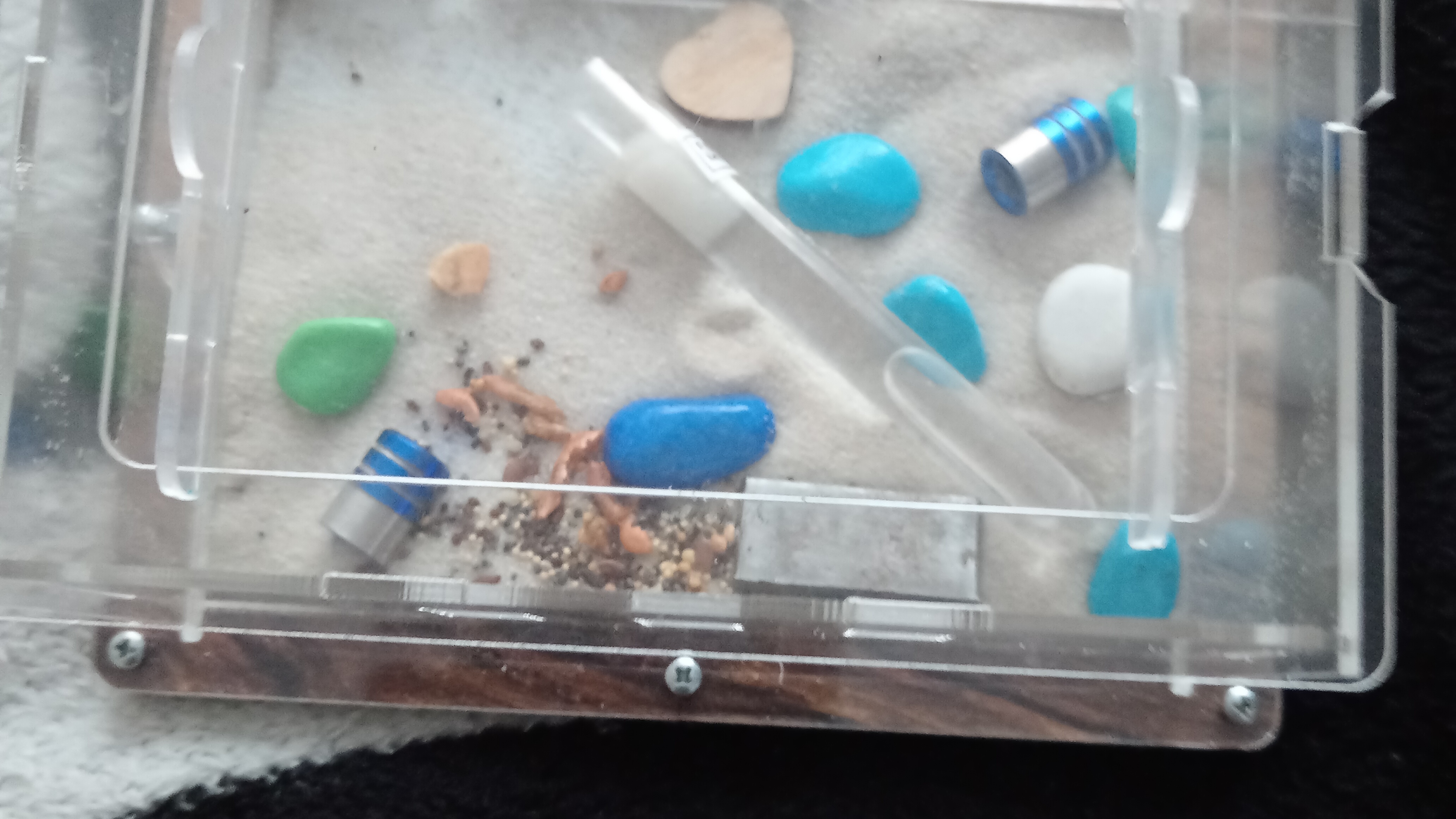 четвёртый обзор на муравьиную ферму